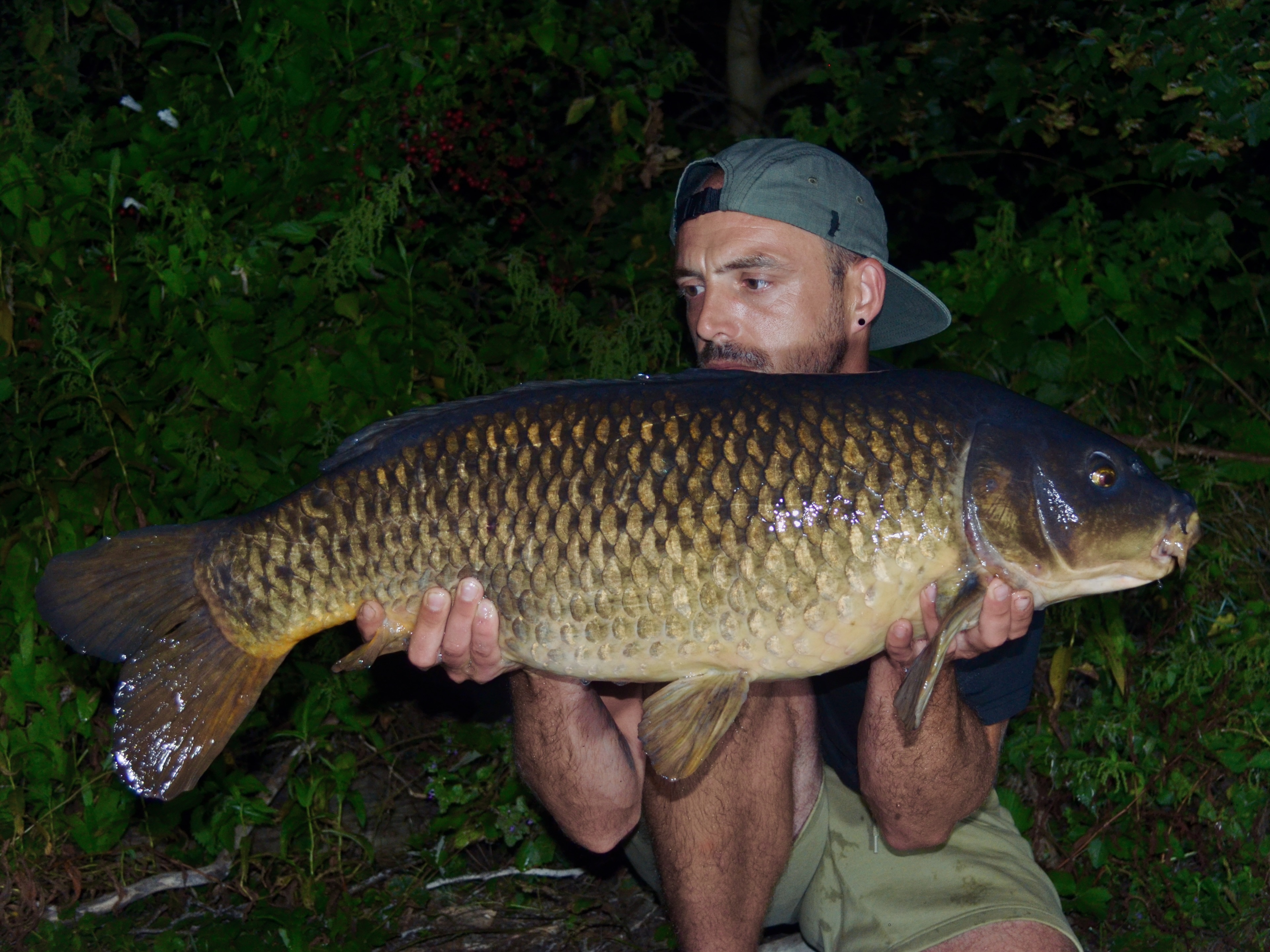 Uk pb | Total Carp